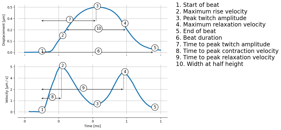 Motion estimation — MPS software update